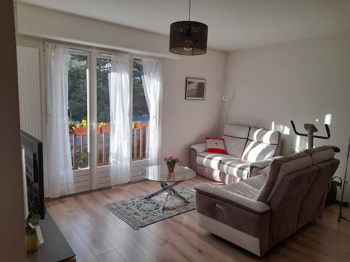 Appartement De Charme Centre Ville Proche Château - Chambéry