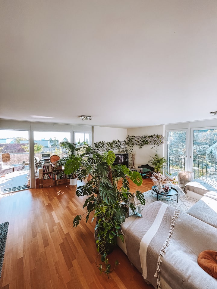 Beautiful Penthouse 5min From Rhine Falls - - Schaffhausen