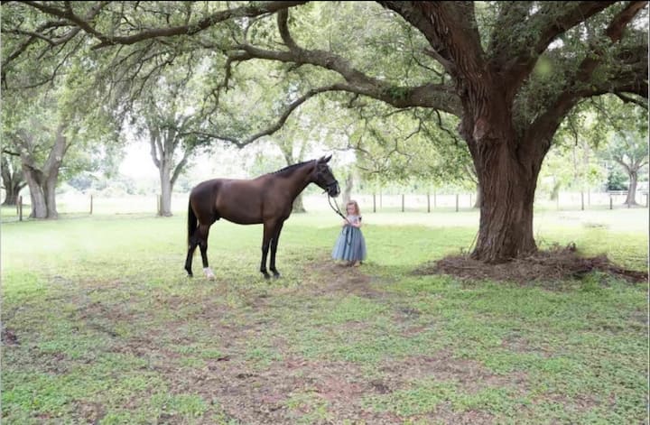 Rustic Oak Acres *Weddings*events*content*retreat* - Fort Myers, FL