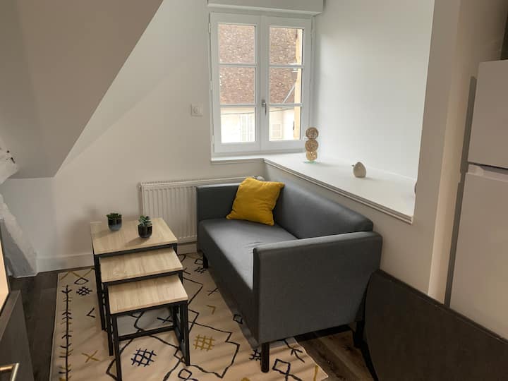 Appartement Cosy F2 Hyper Centre - Sens