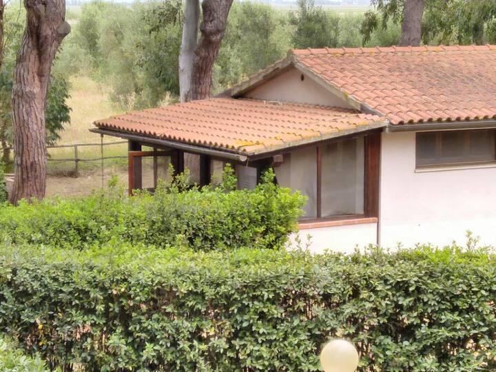 Piccolo Cottage Indipendente 800 Metri Dal Mare - Marina di Grosseto