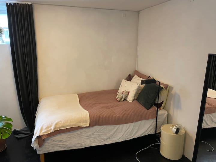 Dejligt Og Roligt Værelse - Tæt På Byen - Odense