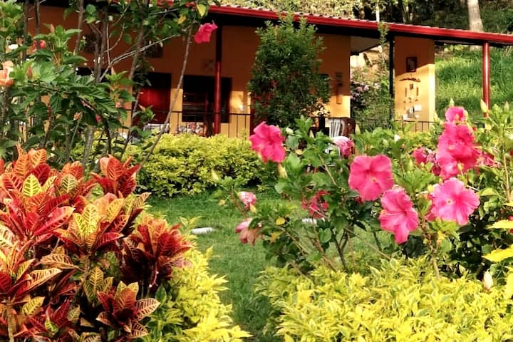 Finca Cafetera Y Spa - シルバニア