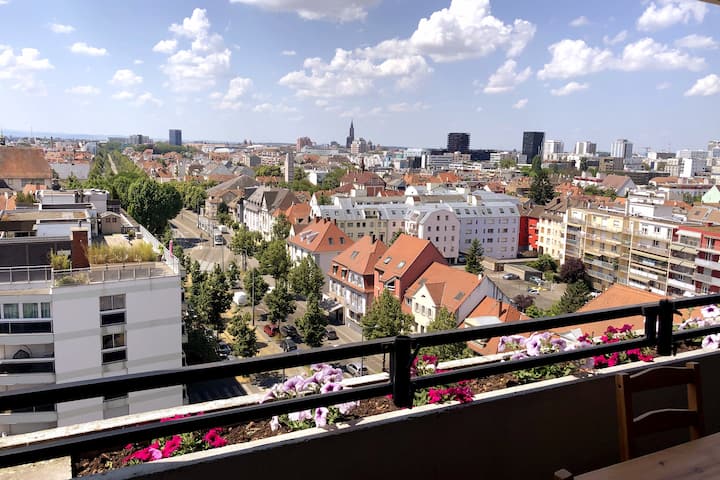 Appartement Avec Vue Imprenable Sur Strasbourg - Strasbourg