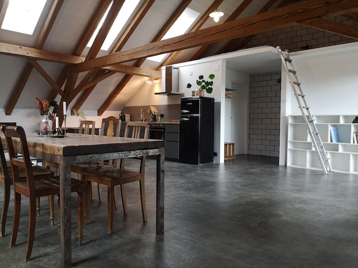 Loft-studio With Great View - Canton de Zürich