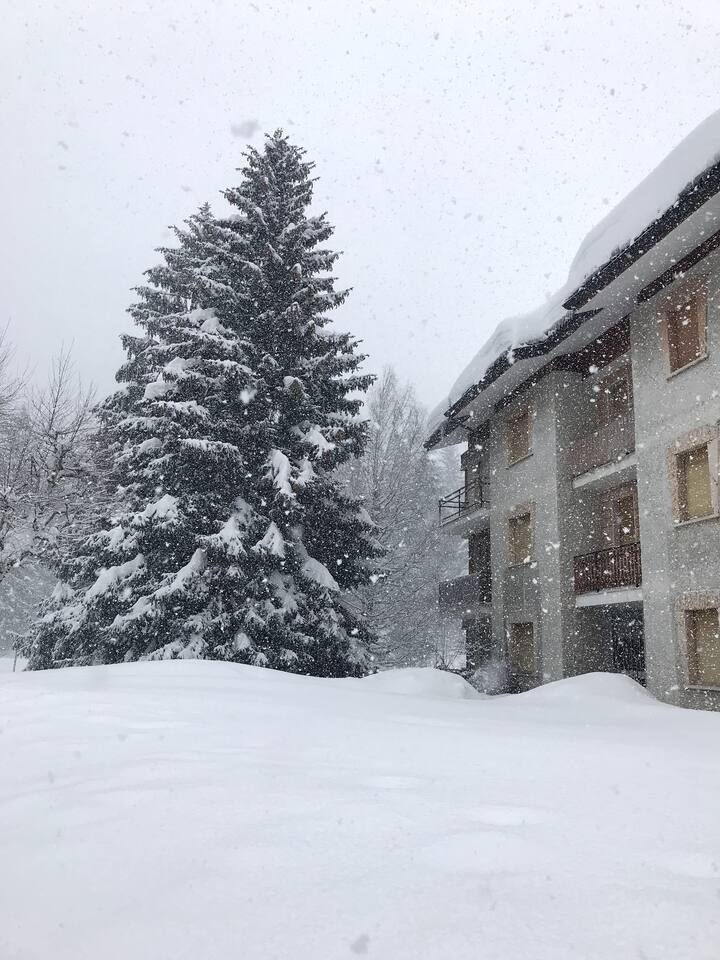 Mansarda Limone Piemonte Residenza Tranquilla - Limone Piemonte