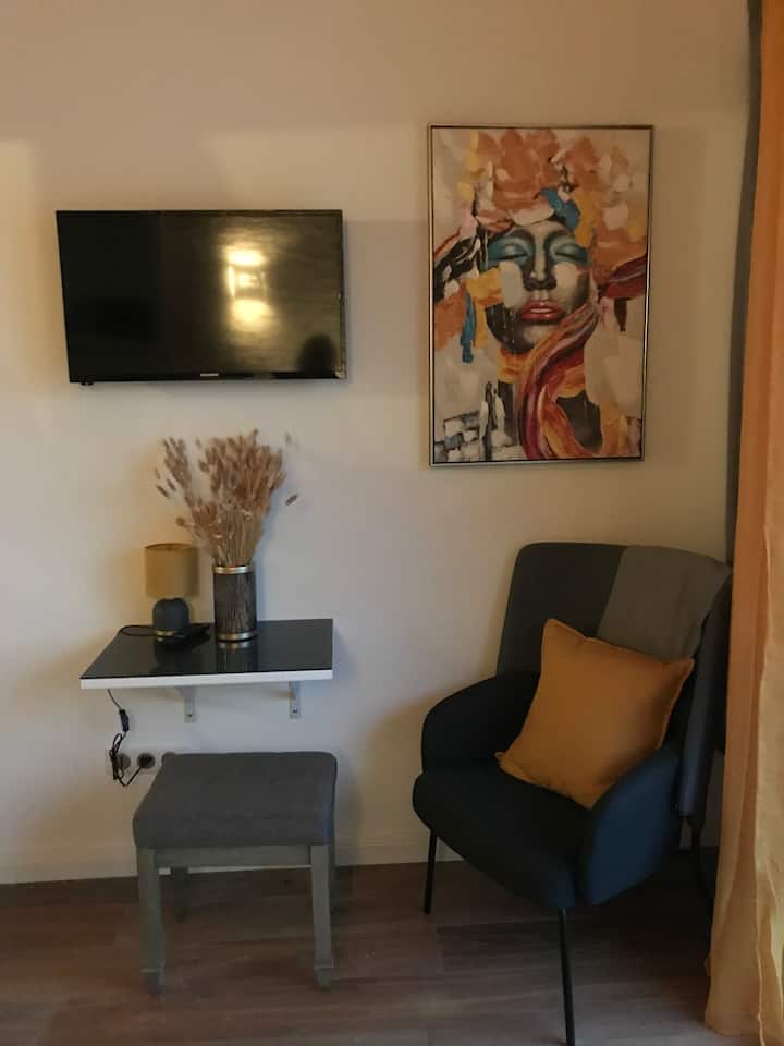 Charming And Elegant Room In A Magnificent Character House - Ajaccio