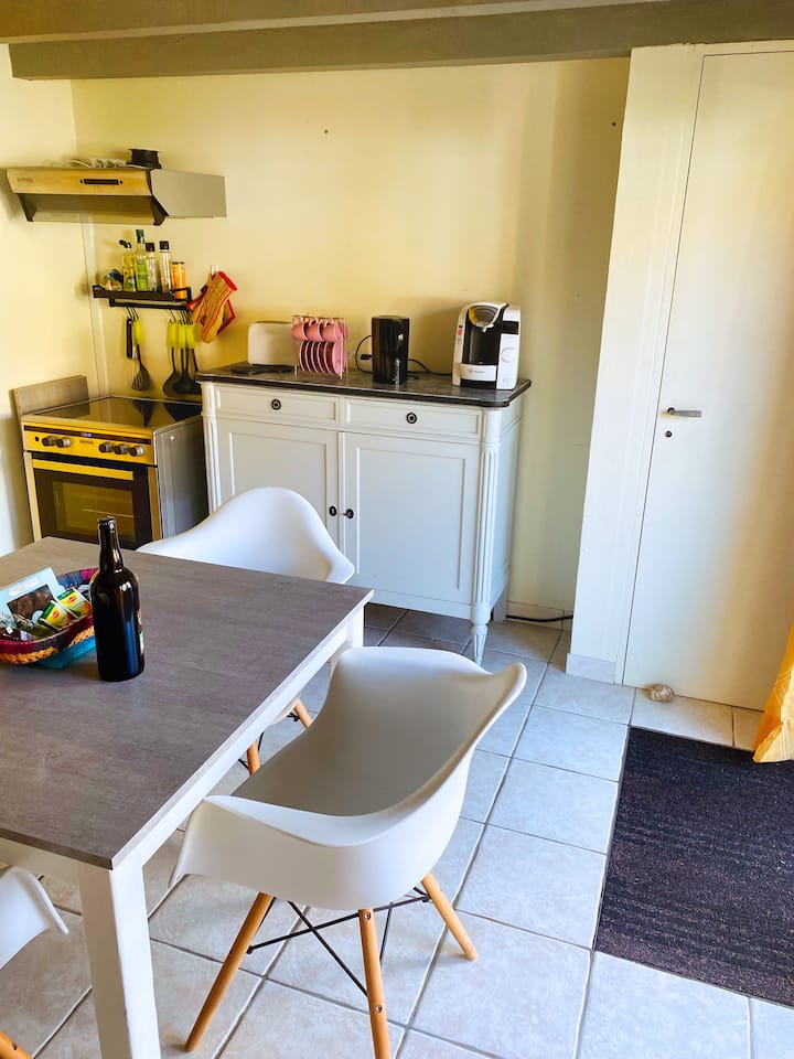 Studio Indépendant Avec Jardin - Bergerac