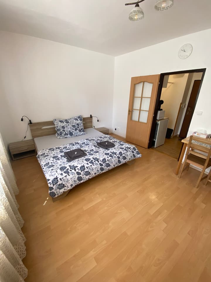 Apartmán U Mendláku - Brno