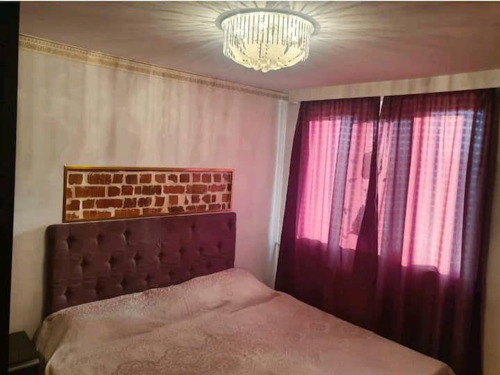 Aramis Ultra Central Apartament - Gostinu
