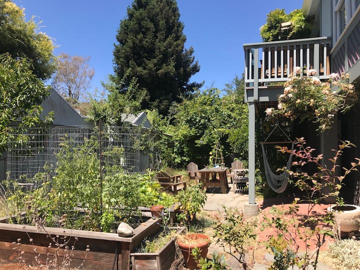 Berkeley Garden 2 Bedroom Apartment - Berkeley, CA