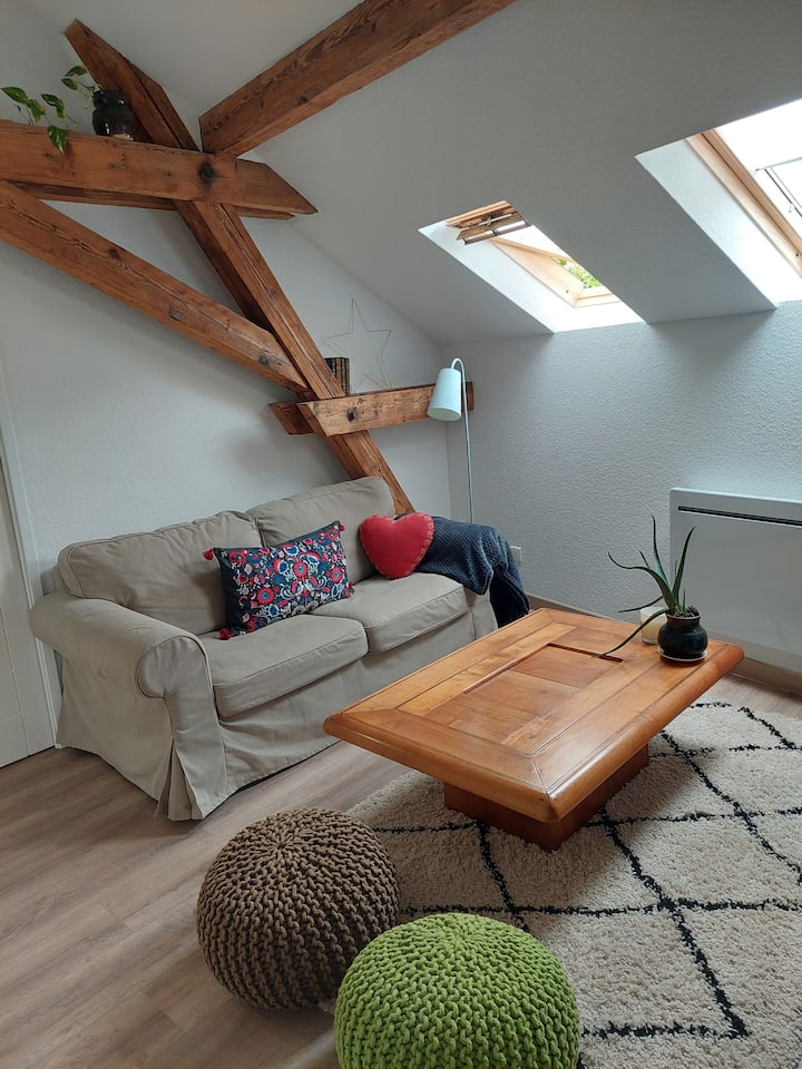 Colmar: Appartement Au Centre
(Parking Gratuit) - Ibis Budget Colmar Centre Gare