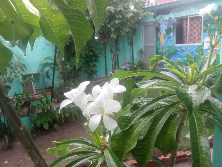 Yogsadhak's Peaceful Abode - Rishikesh