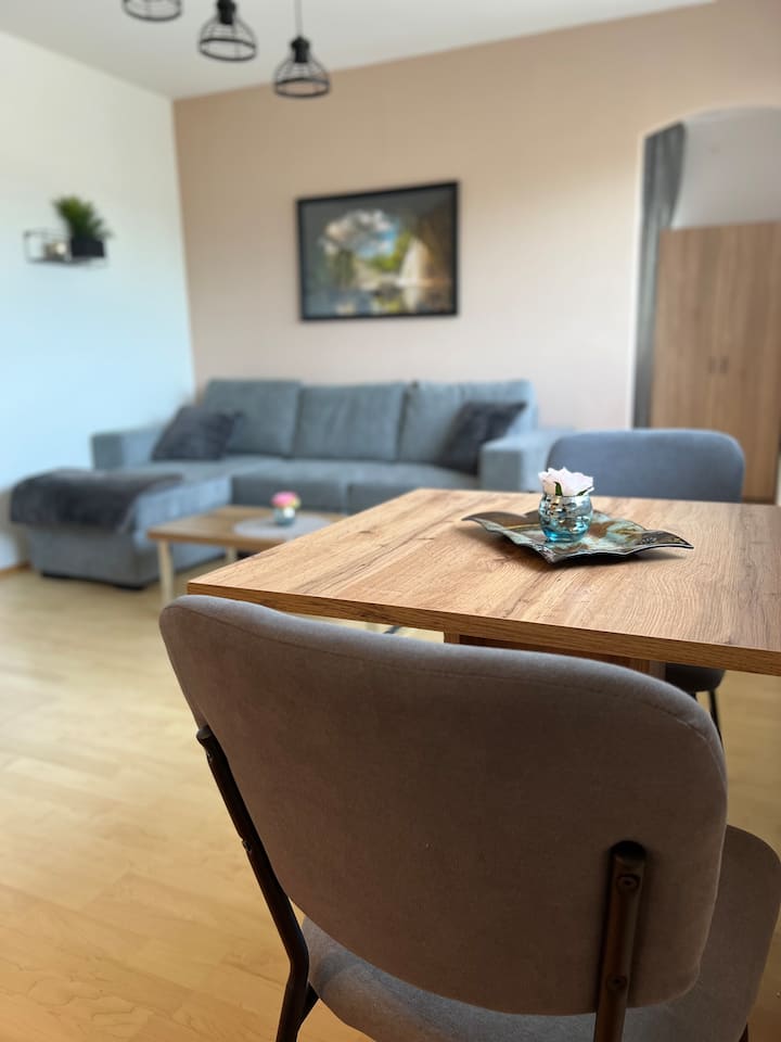 Dienstwohnung Für Beruflichen Aufenthalt/salzburg - Salisburgo