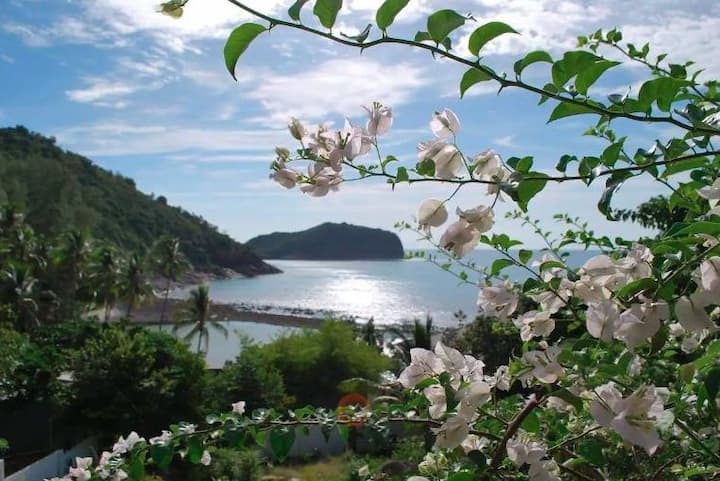 Old Mandala - Ko Pha Ngan