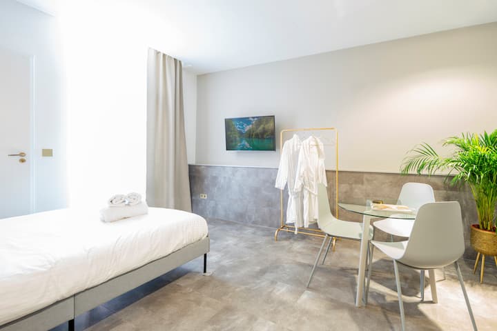 New Build Den Apart & Terrace Schiedam Rotterdam - Schiedam