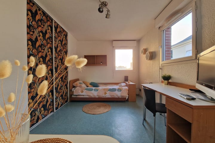 Préfecture - Université Pasteur - Studio 25m2 - Mont-Saint-Aignan
