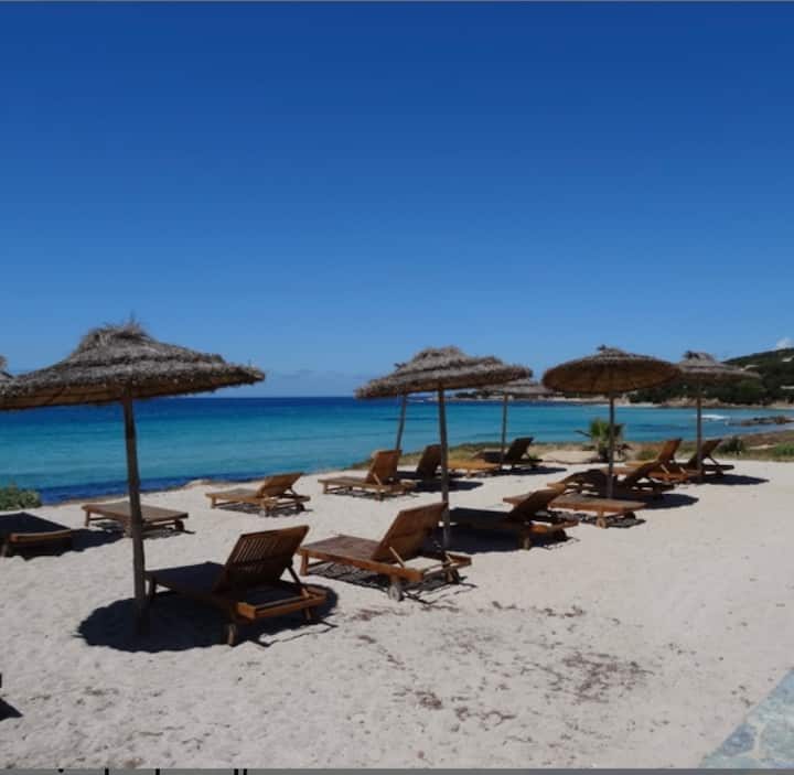 11 Studio 4 Pers Coté Cour Accès Directplage
N 11 - Korsika