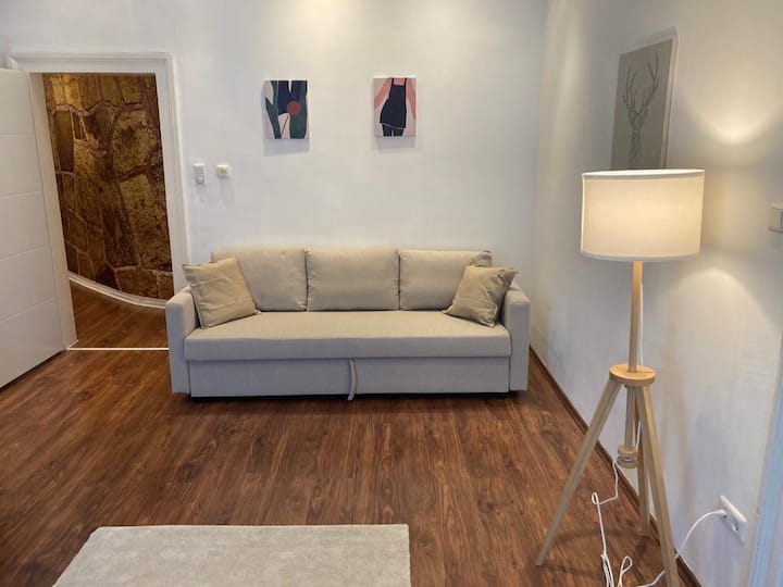 Zentrale Und Schöne 2 Zimmer Wohnung In Wien - Viena