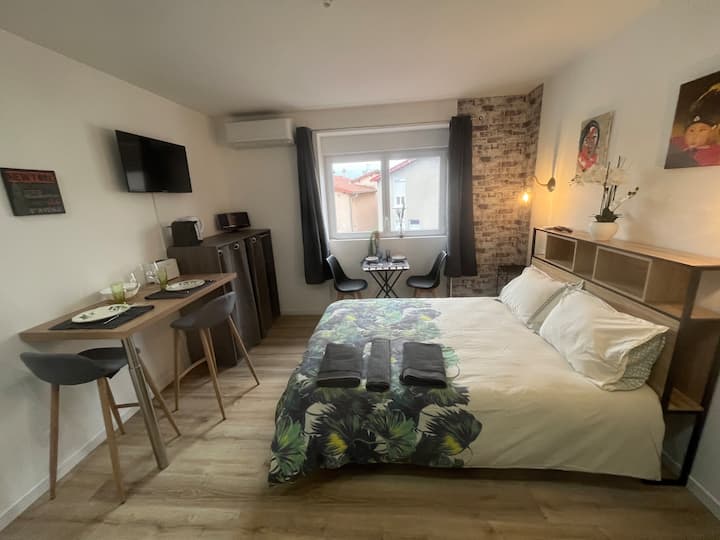 Bach Studio Balneo’au Calme Parking Gratuit - IBIS Lyon Sud Chasse Sur Rhône