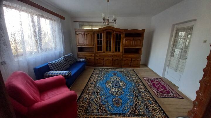 Casă Cu Gradină In Inima Maramureșului Istoric - Săpânța