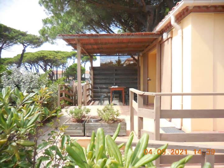 Maison 4 Pers. Sous Un Pin - Saint-Laurent-de-la-Salanque