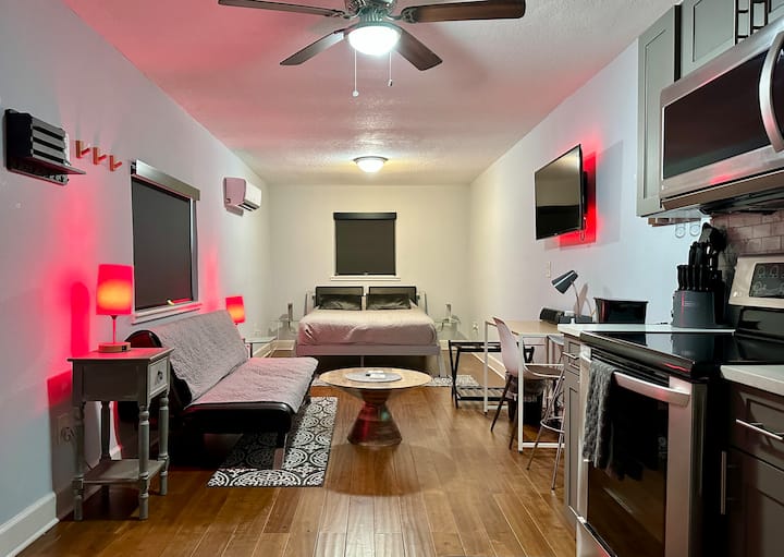 Private Modern Apartment Close To Downtown Tampa - Tampa, FL