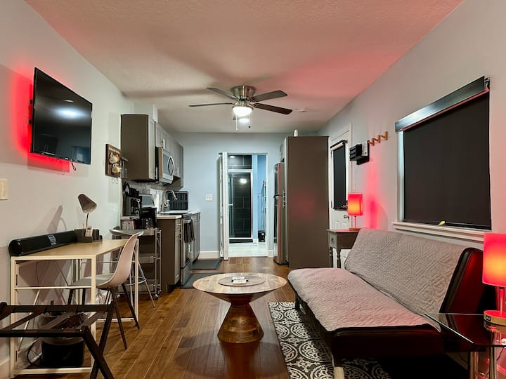 Private Modern Apartment Close To Downtown Tampa - Tampa, FL
