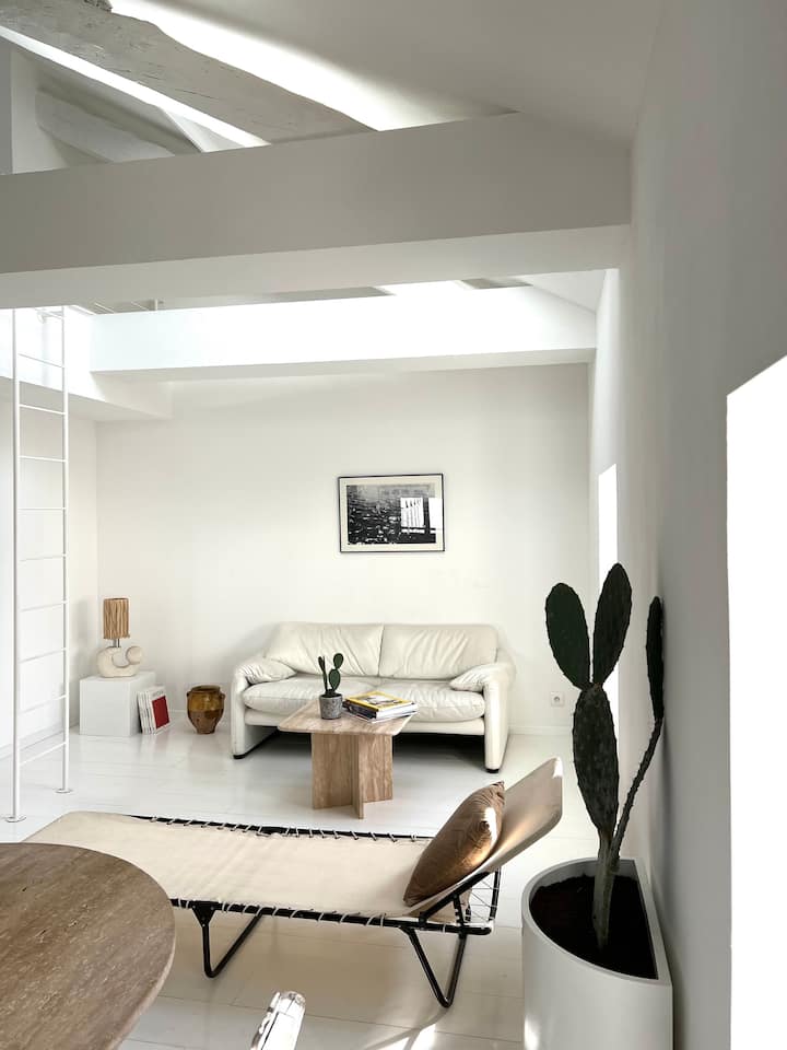 Superbe Loft Lumineux Au Coeur De Biarritz - Biarritz