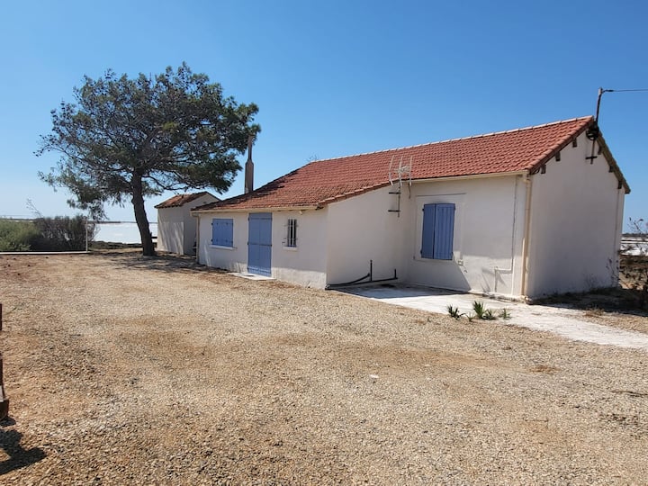 Maison De Vacances
Mas Du Réservoir - Salin de Giraud