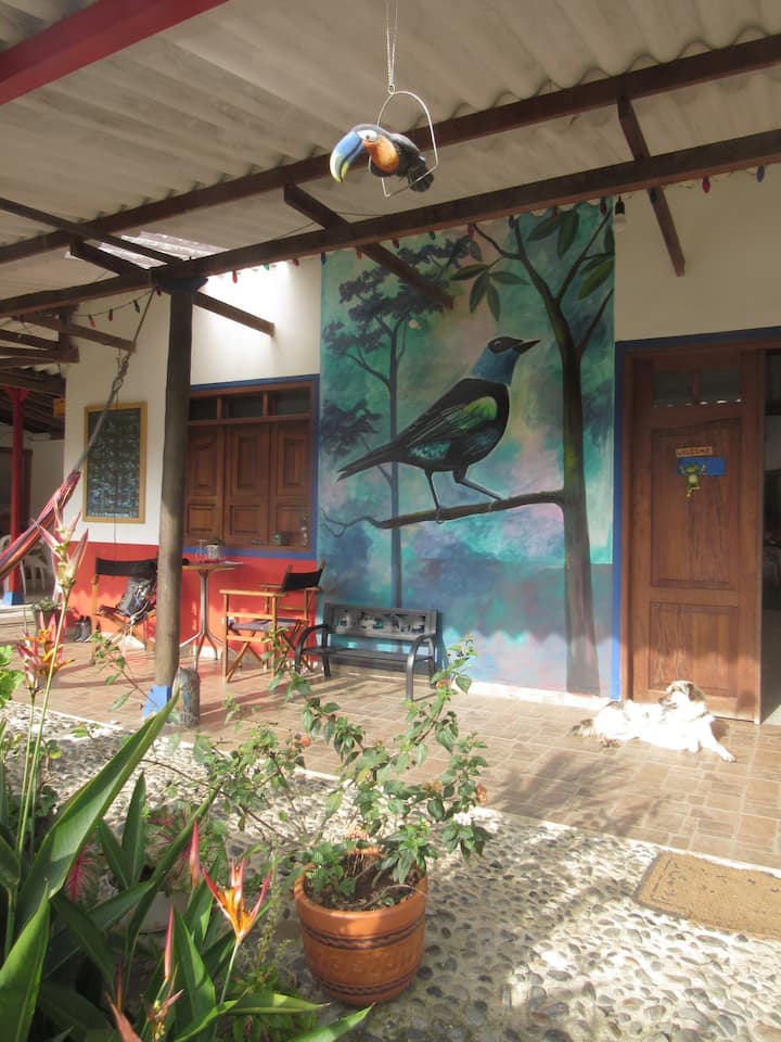 La Tángara 2:  Family Room Birdwatching - Andes