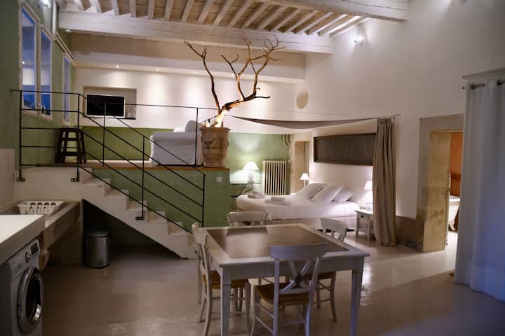 «L'ancienne Cuisine» Dans Un Hôtel Particulier - ibis Montpellier Centre Comedie