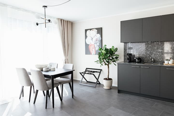 Gemütliches Serviced Apartment In Zürich - Zürich