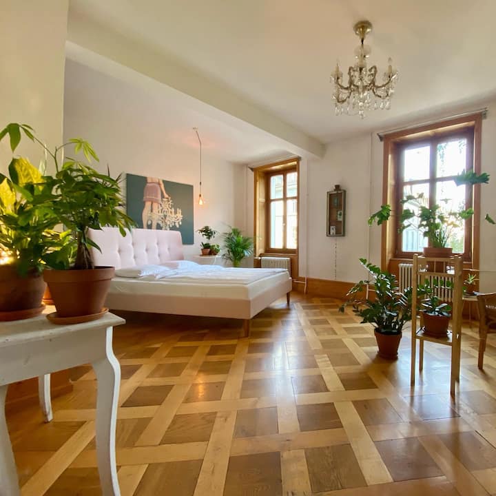 Romantische Ruheinsel In Zentrum-nähe - Basel