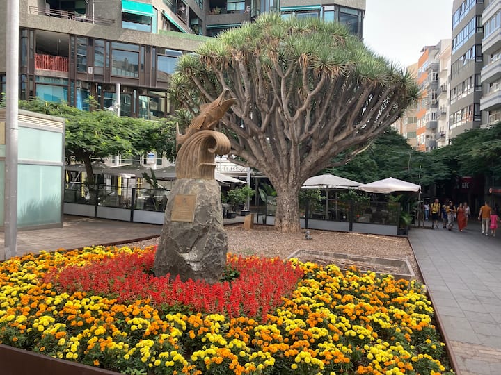 Park House - Prowincja Santa Cruz de Tenerife