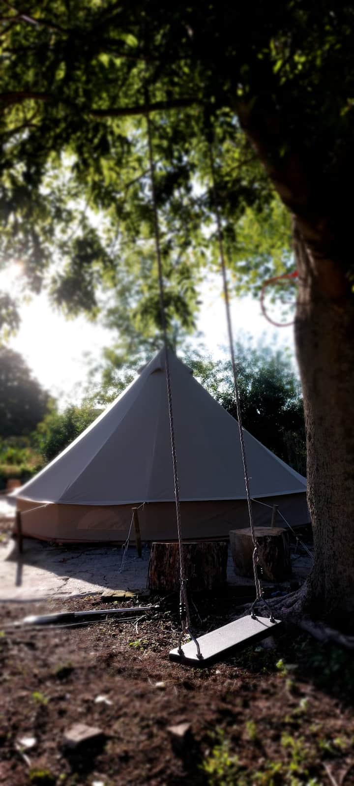 Top 10 Glamping Spots Near The Hague, Netherlands - Updated 2024 | Trip101