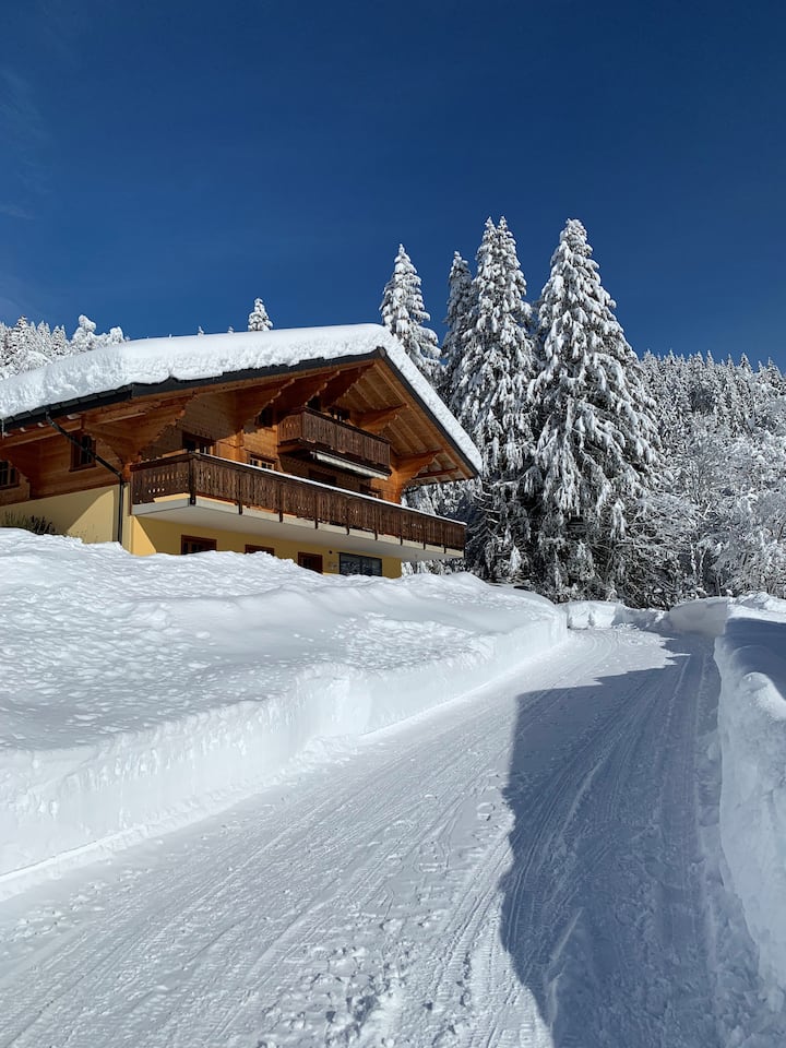 Chalet De Rêve . Diablerets, Gstaad, Glacier 3000 - Les Diablerets