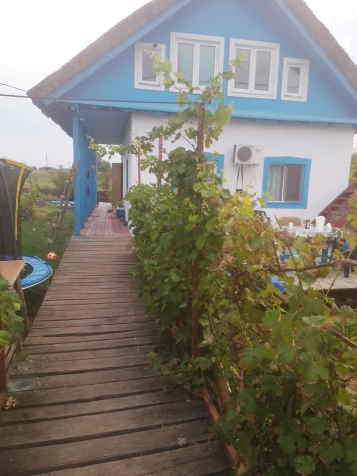 Sidor Maison - Crișan