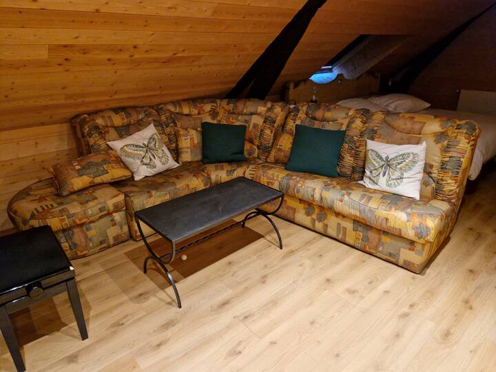 Ravissante Suite, Un Cadre Naturel Exceptionnel - Lamotte-Beuvron