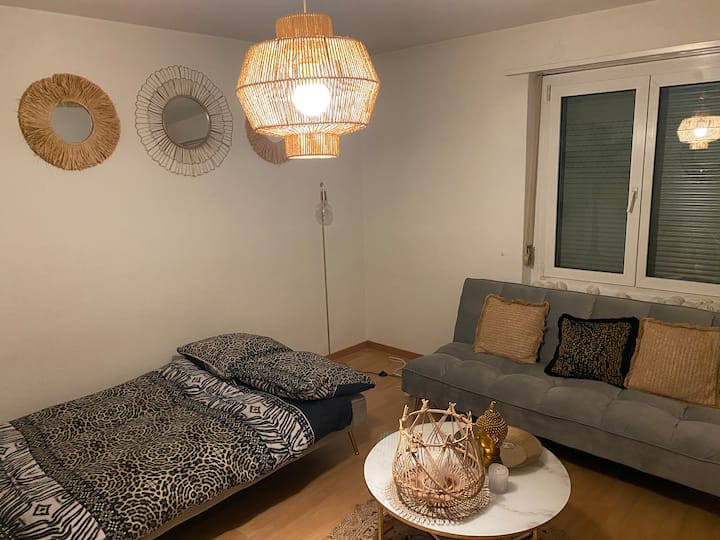 Sehr Zentrales B&b, 8 Minuten Vom Zentrum Entfernt - Winterthur