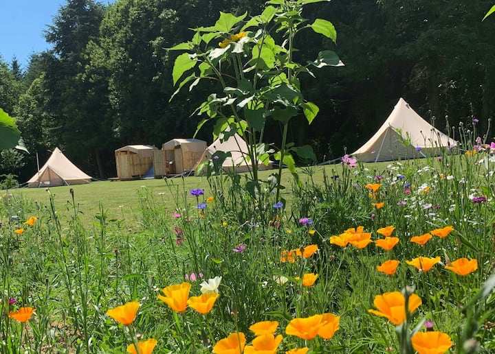 ÉCo-glamping à Usage Exclusif Au Pré Fleuri - Francia