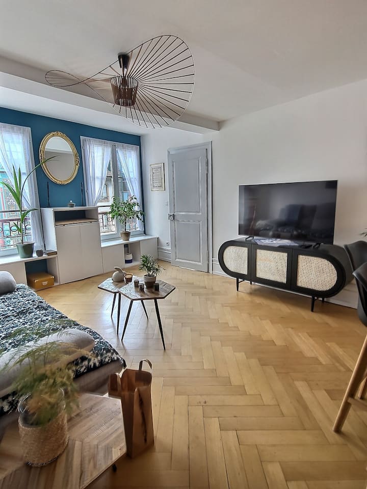 Cosy F2 Hyper-centre Strasbourg - Strasbourg
