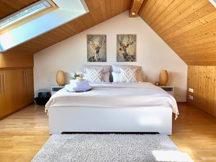 Apartment Musikerviertel - Heidenheim an der Brenz