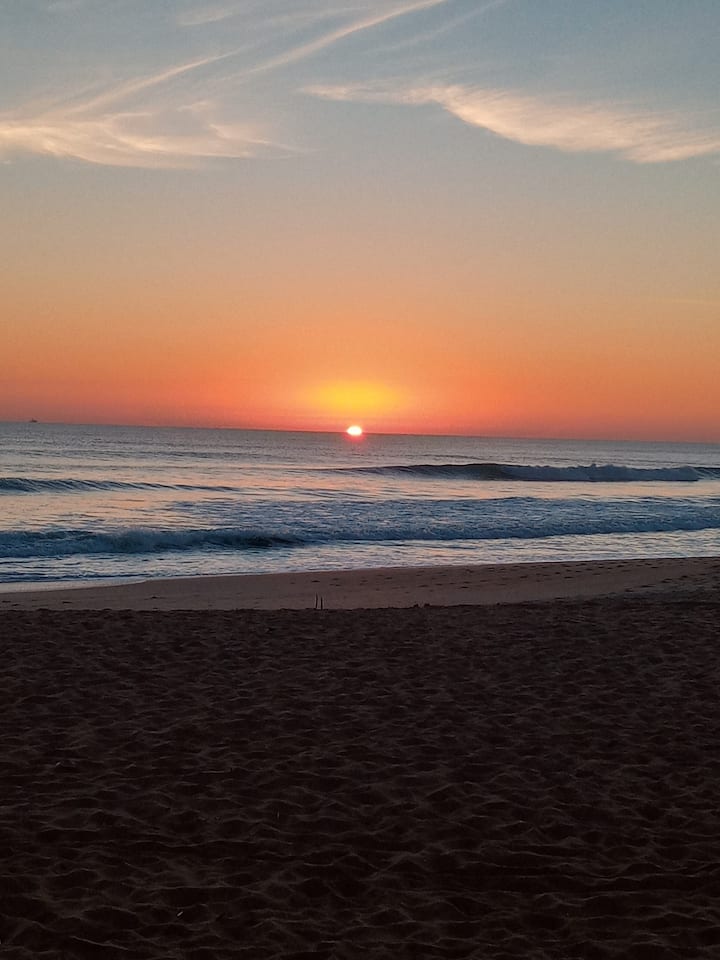 The Surf Shack - Ormond Beach, FL