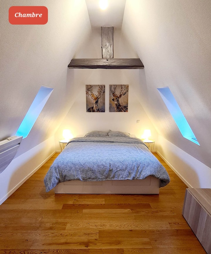 Charmant 2 Pièces Proche Cathédrale - Strasbourg