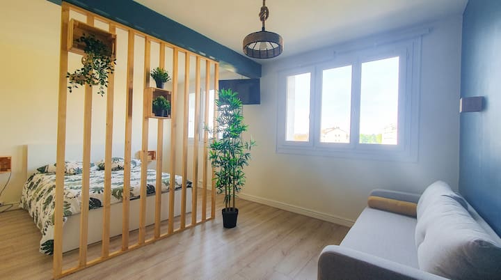 Chambre/bureau Appart Métro Cusset Villeurbanne - Lyon