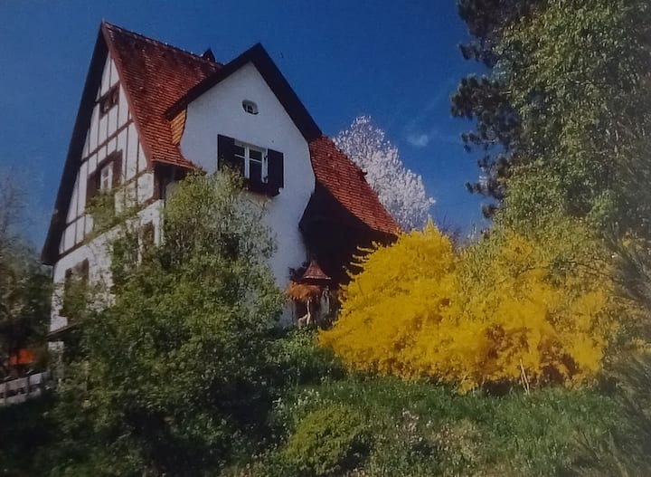 Villa Rustika Zwischen Alpen Und Bodensee - Oberstaufen