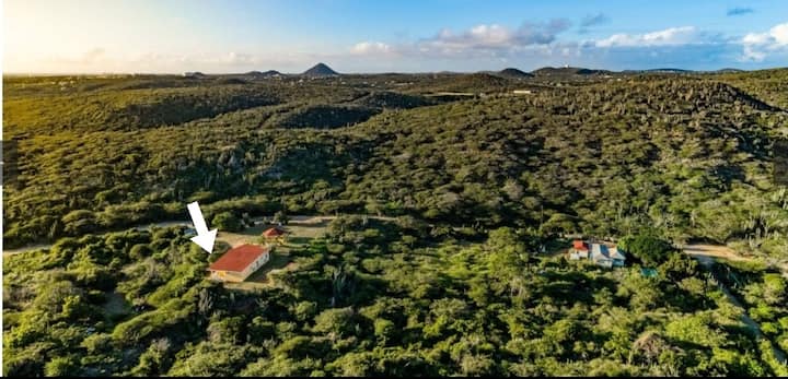 Veel Privacy + Een Tub Met Een Prachtig Uitzicht. - Aruba