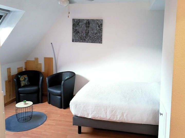 Studio Tout Confort En Centre-ville - Étang de Hanau
