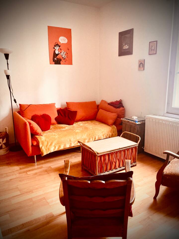 Chambre-salon à 15´ De La Gare! - Tours